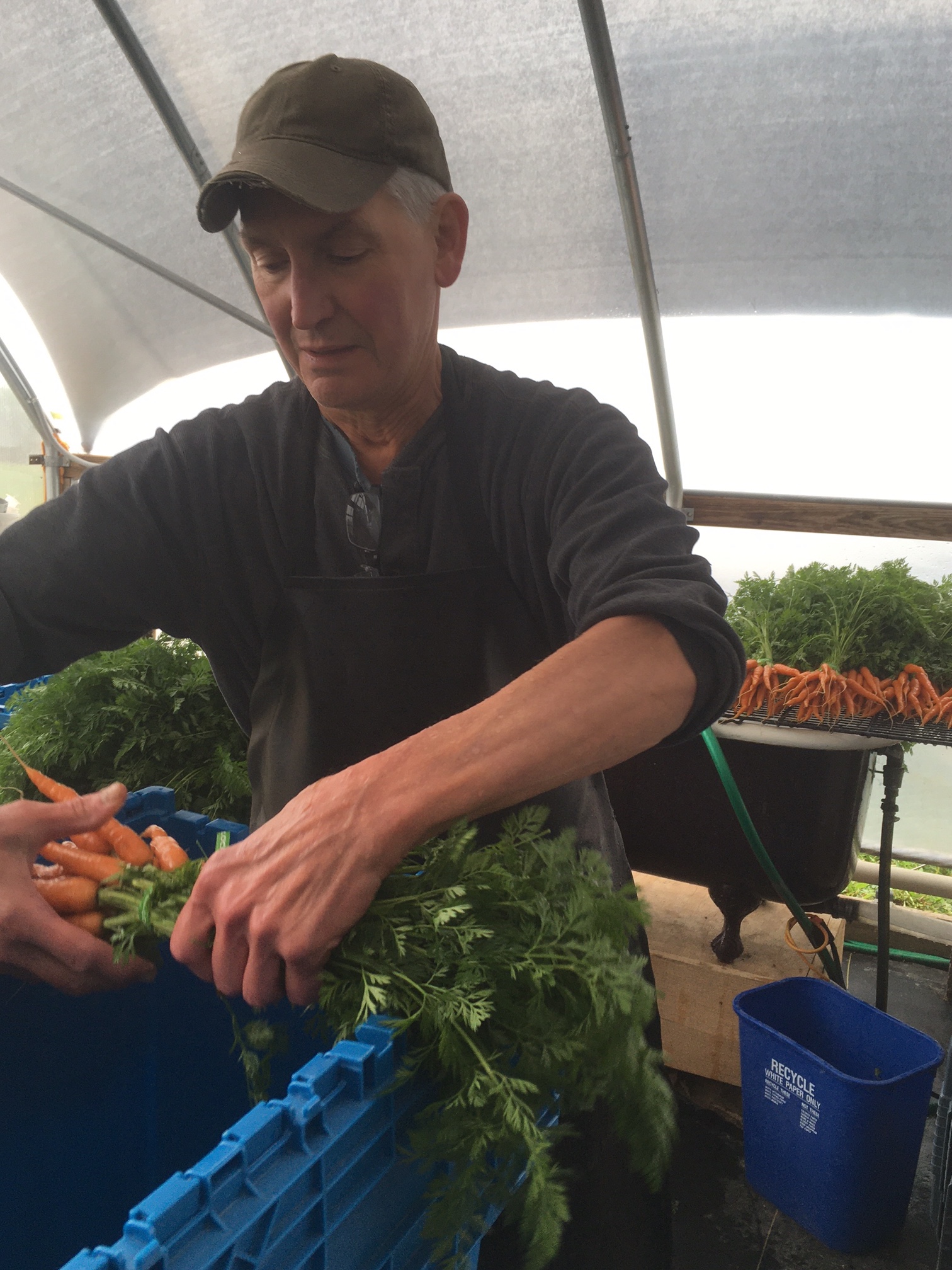 Summer Solstice brings Abundance to the Table - Farm Happenings at ...