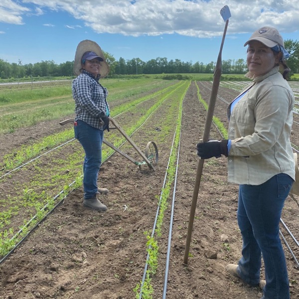 Tending the gardens ~ Just on time delivery ~ Sold out items - Farm ...