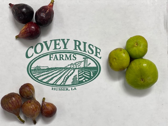 Farm Happenings for July 13, 2021 - Farm Happenings at Covey Rise Farms ...