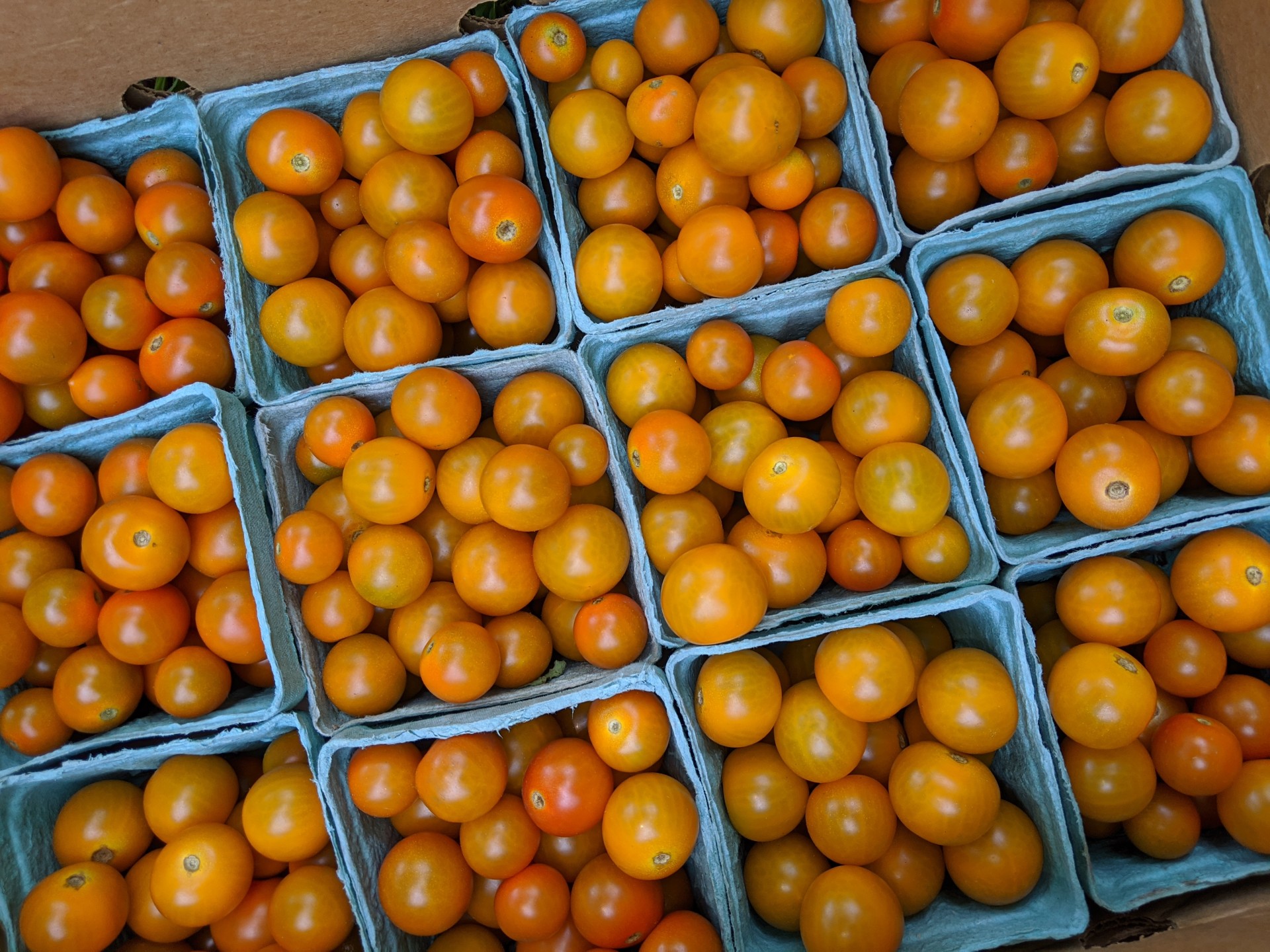 Customize for Tomatoes and Red Bell Peppers - Farm Happenings at ...