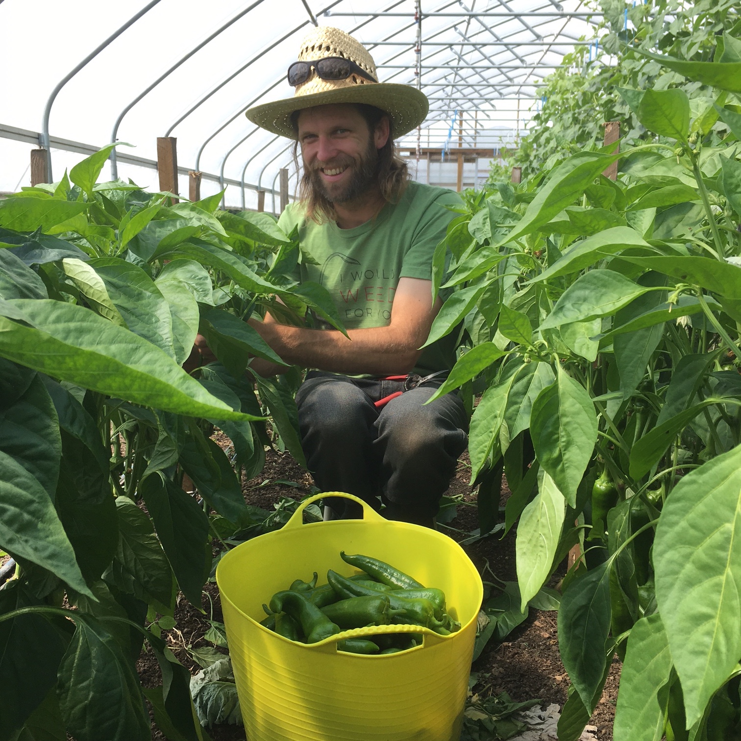 The Faces Behind the Food: Travis - Farm Happenings at Boerson Farm ...