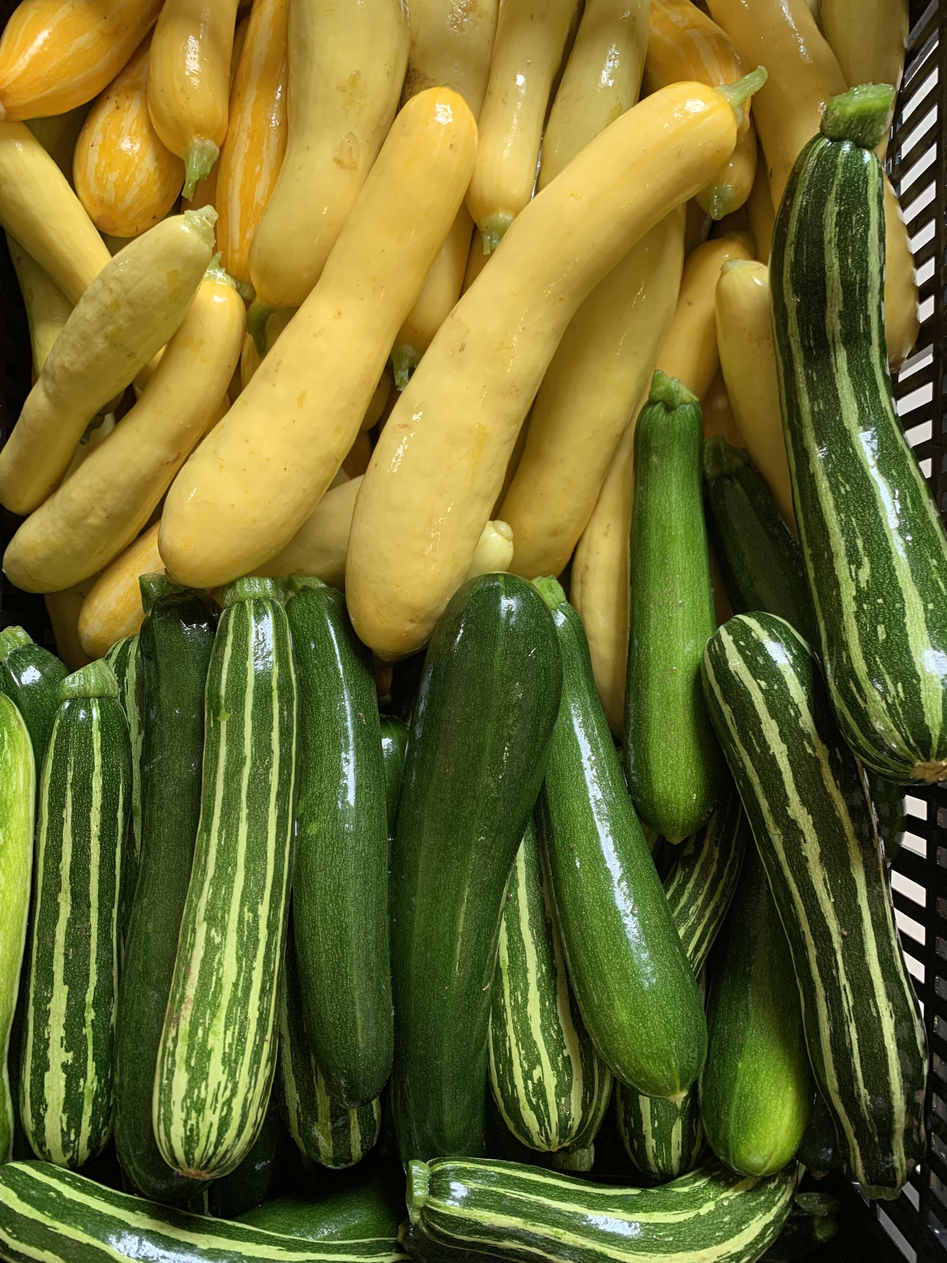 Ideas for all of that Summer Squash... - Farm Happenings at Mad Radish ...