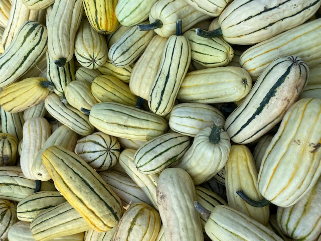 Farm Happenings for July 27, 2021 - Farm Happenings at Covey Rise Farms ...