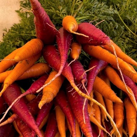 Farm Happenings for July 27, 2021 - Farm Happenings at Aspen Moon Farm ...