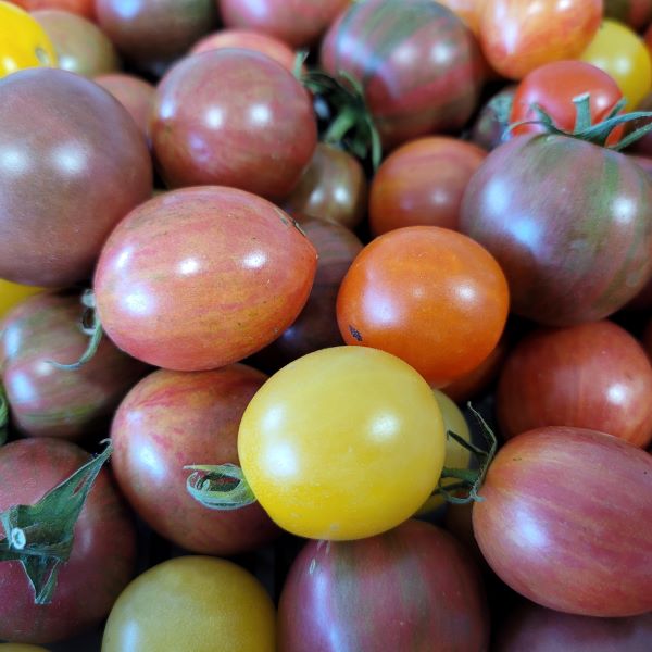 Farm Happenings for August 4, 2021 - Farm Happenings at Cherry Valley ...