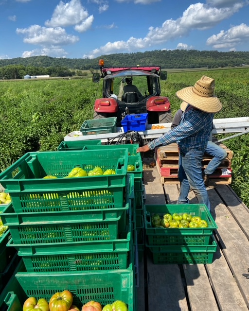 Nathan on Our Farm Operations and the Changing Seasons! - Farm ...