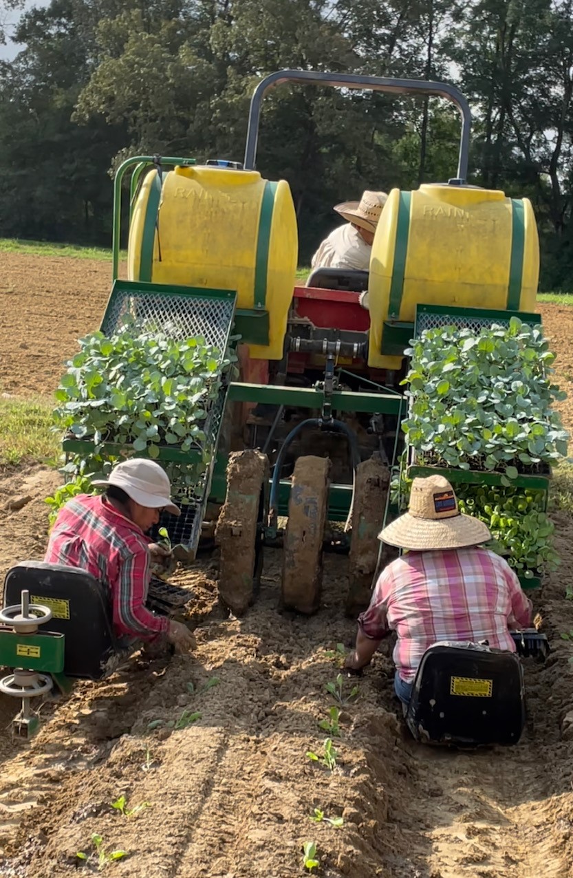 Farm Happenings for Week of September 6th - Farm Happenings at Rise N ...