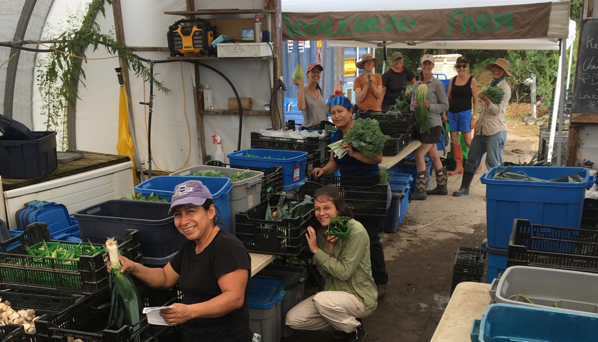 It takes a team - Farm Happenings at Fiddlehead Farm - Harvie