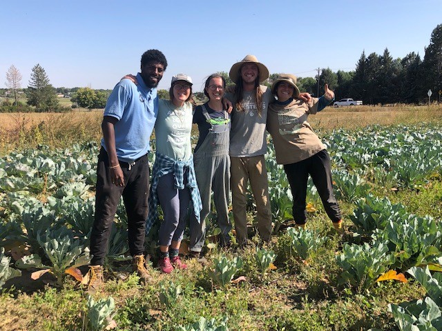 Farm Happenings Week 18, 2021 - Farm Happenings at Aspen Moon Farm - Harvie