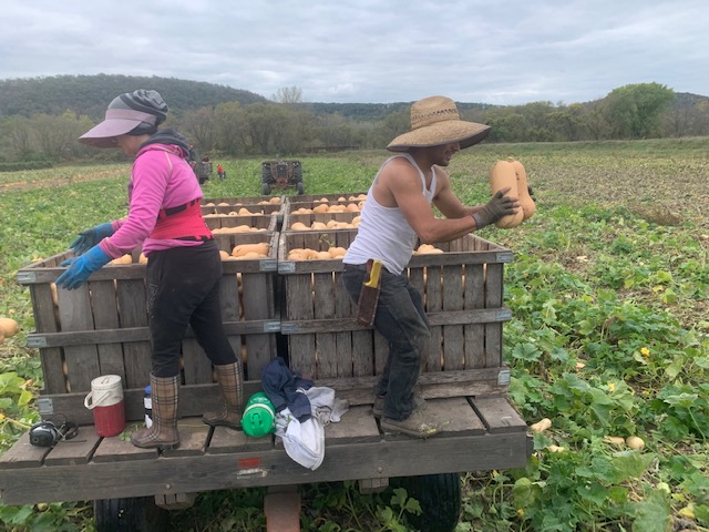 Welcome to our Winter Farm Share CSA Program! - Farm Happenings at ...