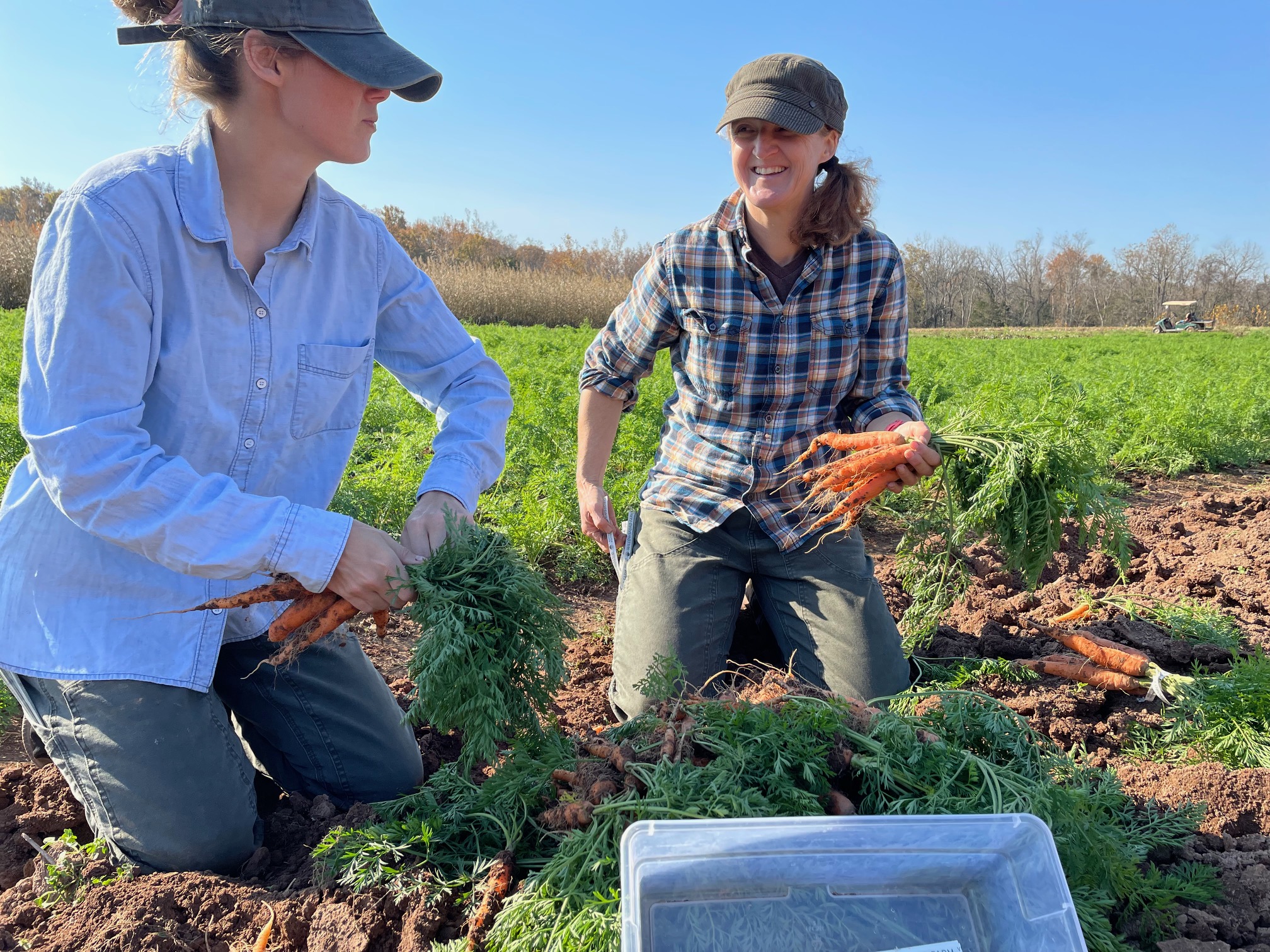 FINAL SUMMER SHARE DELIVERY IS THIS WEEK! - Farm Happenings at ...