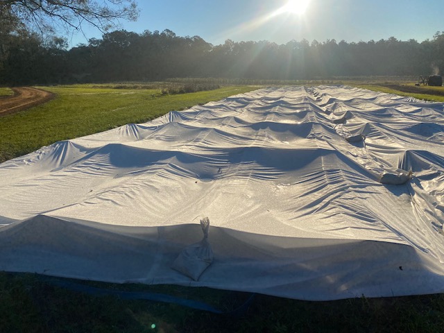 Farm Happenings for December 24, 2021 - Farm Happenings at Covey Rise ...