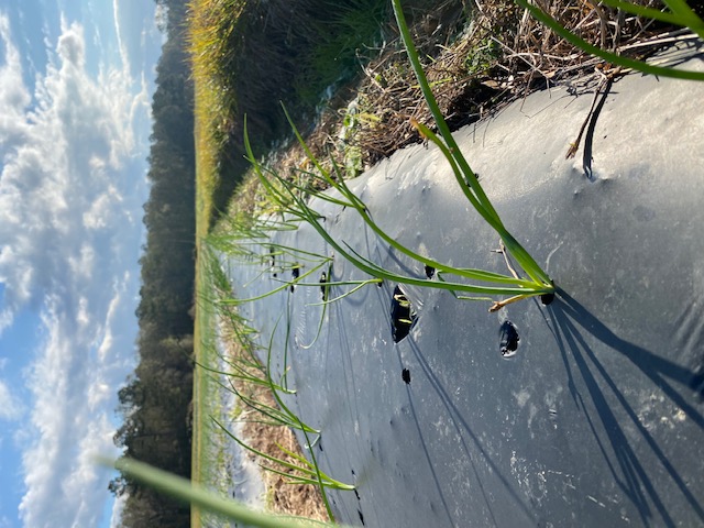 Farm Happenings for January 8, 2022 - Farm Happenings at Covey Rise ...