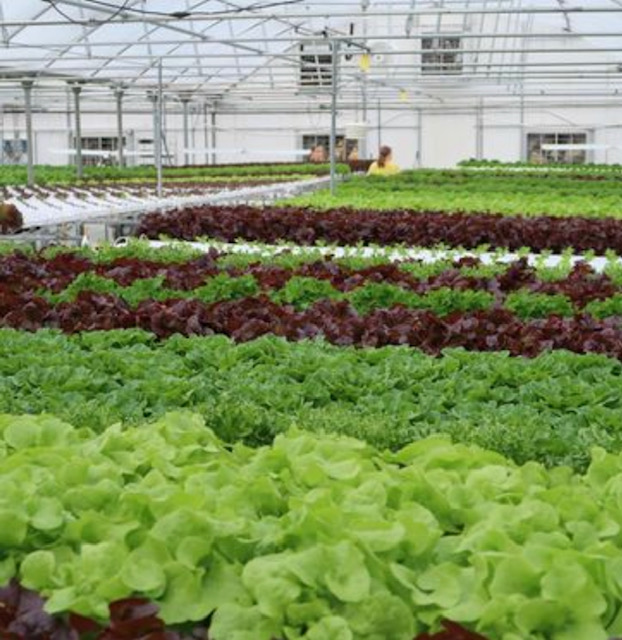 Farm Happenings for February 5, 2022 - Farm Happenings at Covey Rise ...