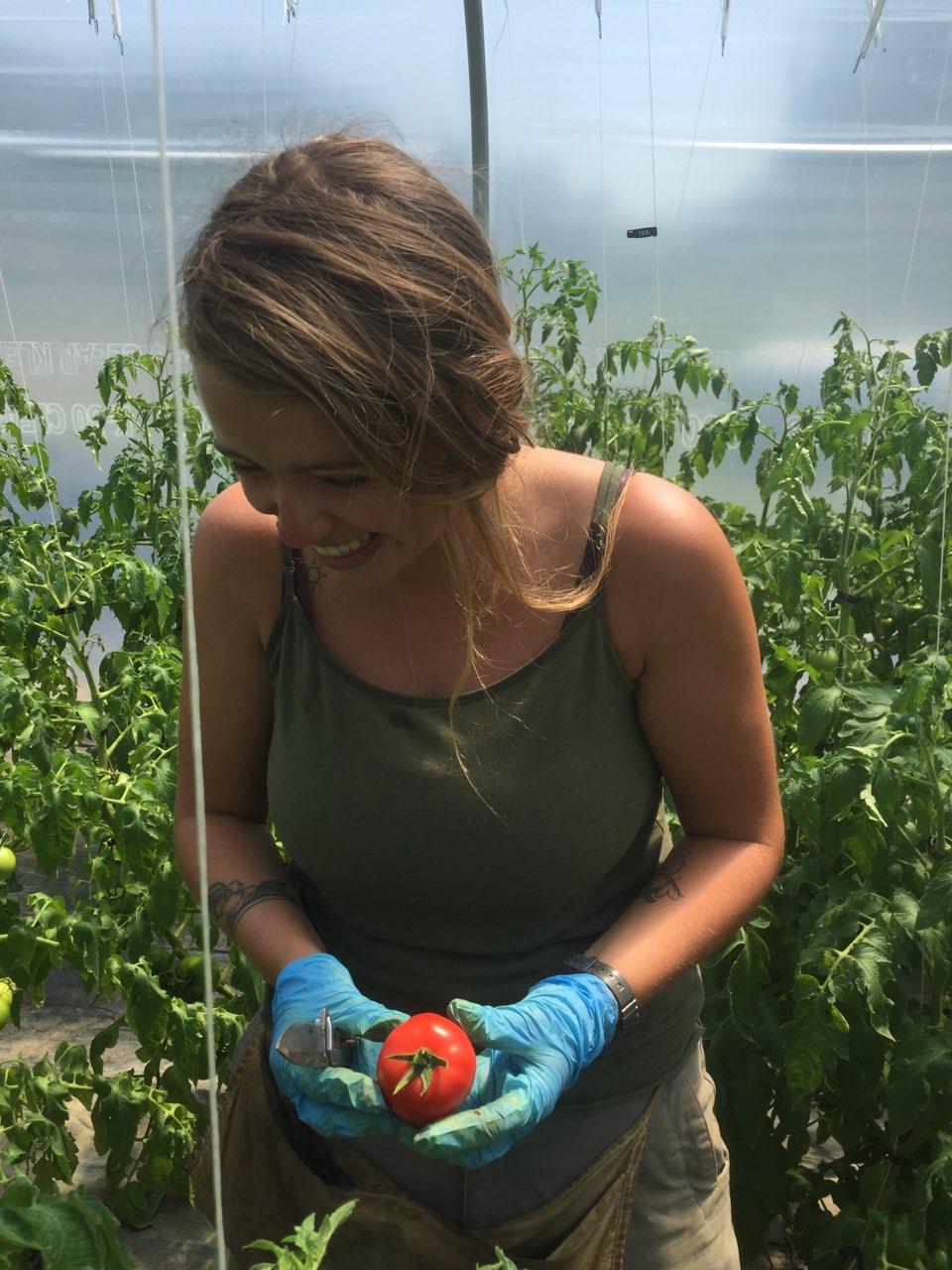 Customize your first CSA now! - Farm Happenings at Tumbling Shoals Farm ...