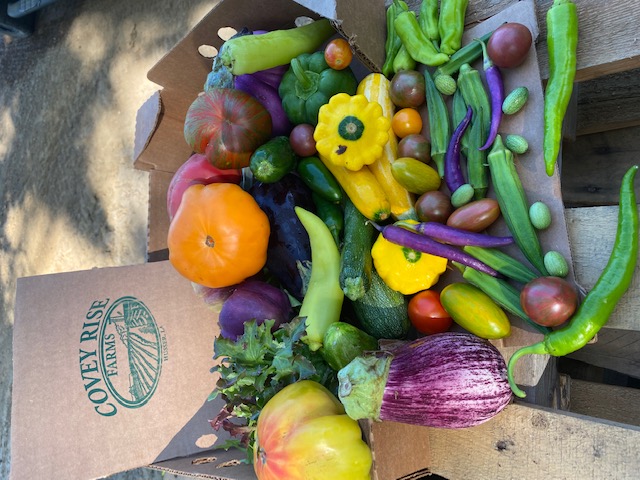 Farm Happenings for June 3, 2022 - Farm Happenings at Covey Rise Farms ...