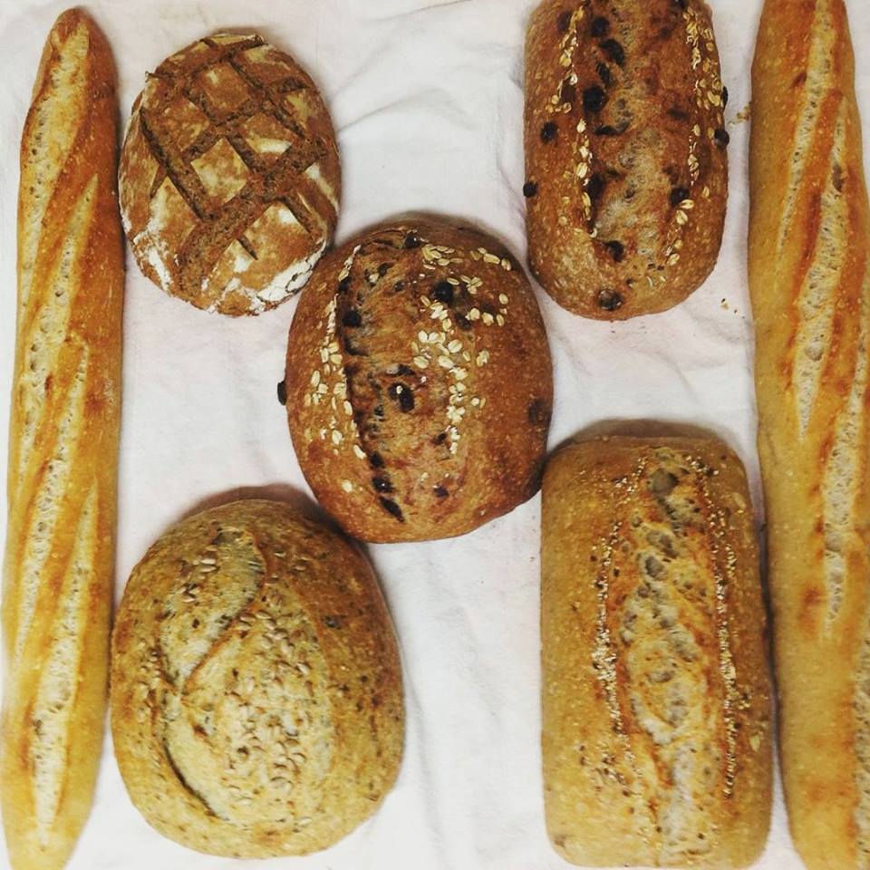 Bread Shares for June 29, 2022 - Farm Happenings at Broadfork Farm - Harvie