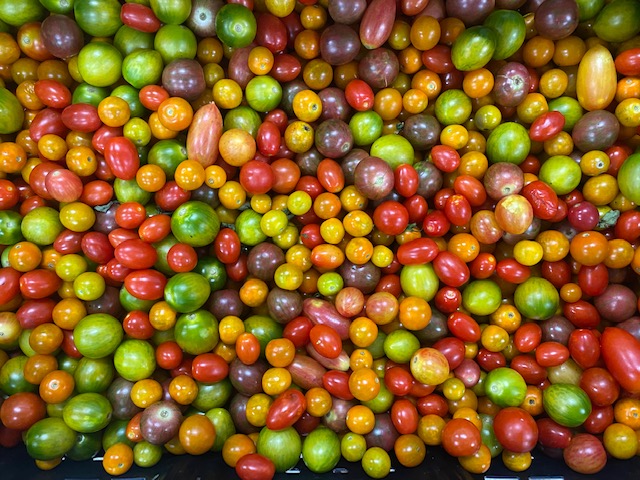 Farm Happenings for June 30, 2022 - Farm Happenings at Covey Rise Farms ...