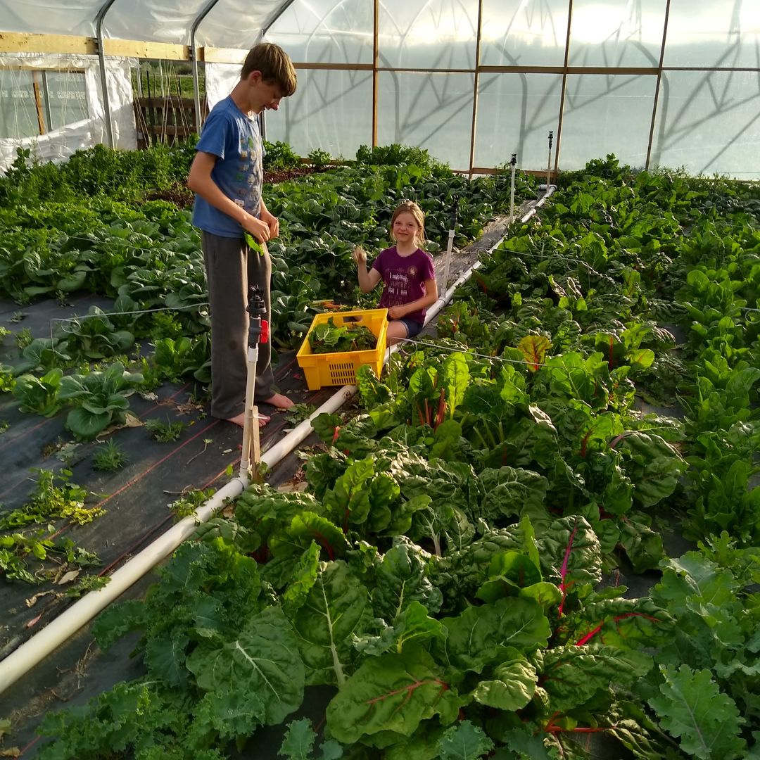 Summer Full Swing Boogie - Farm Happenings at Heritage Family Gardens ...