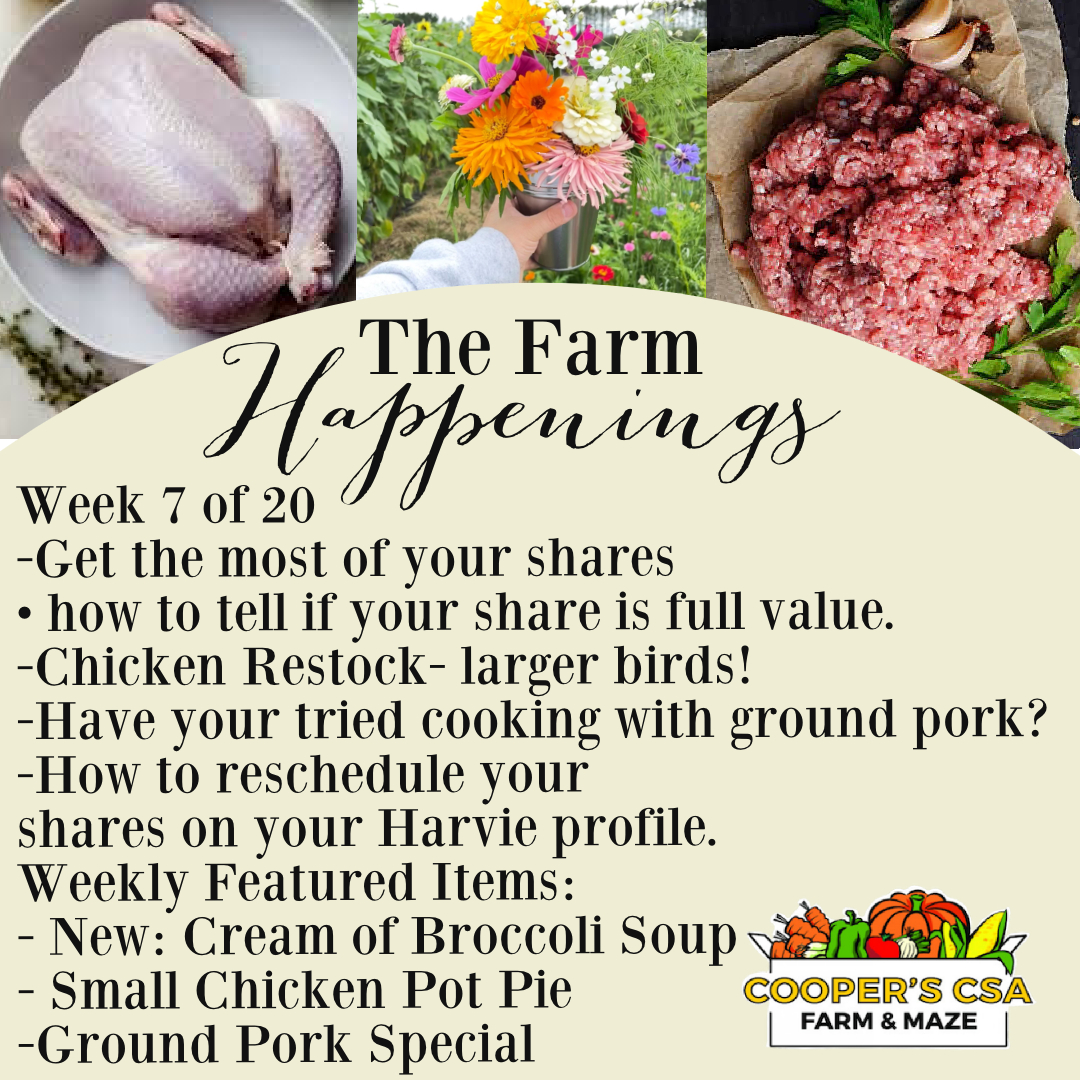 "Pasture Meat Shares"-Coopers CSA Farm Farm Happenings July 19th-24th ...