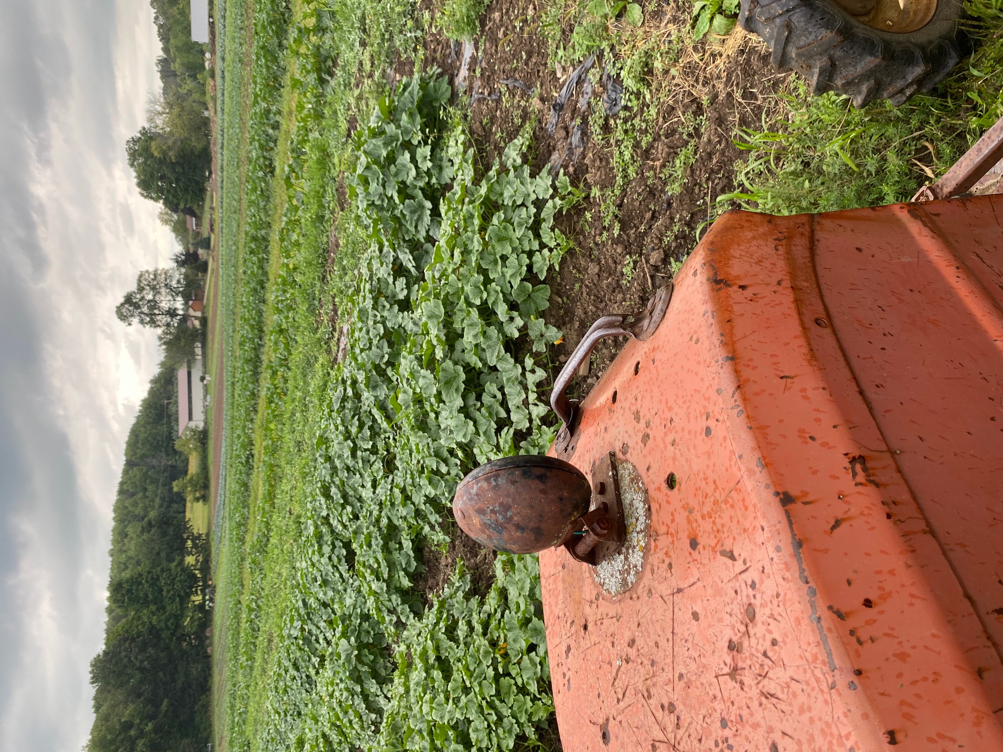 Farm Happenings for August 24, 2022 - Farm Happenings at Springdale ...