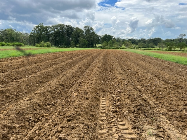 Farm Happenings for September 1, 2022 - Farm Happenings at Covey Rise ...