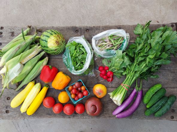 CSA Box 13 Click on Continue Reading to see Whole Newsletter - Farm ...