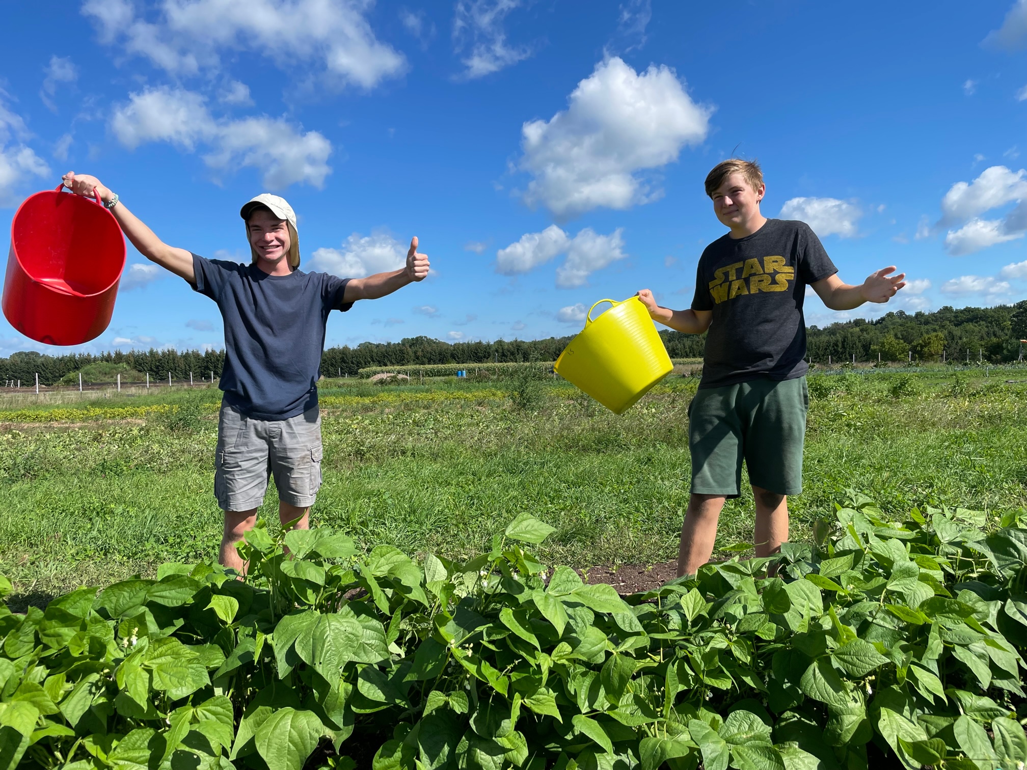 Back to School (Blues) - Farm Happenings at Boerson Farm - Harvie