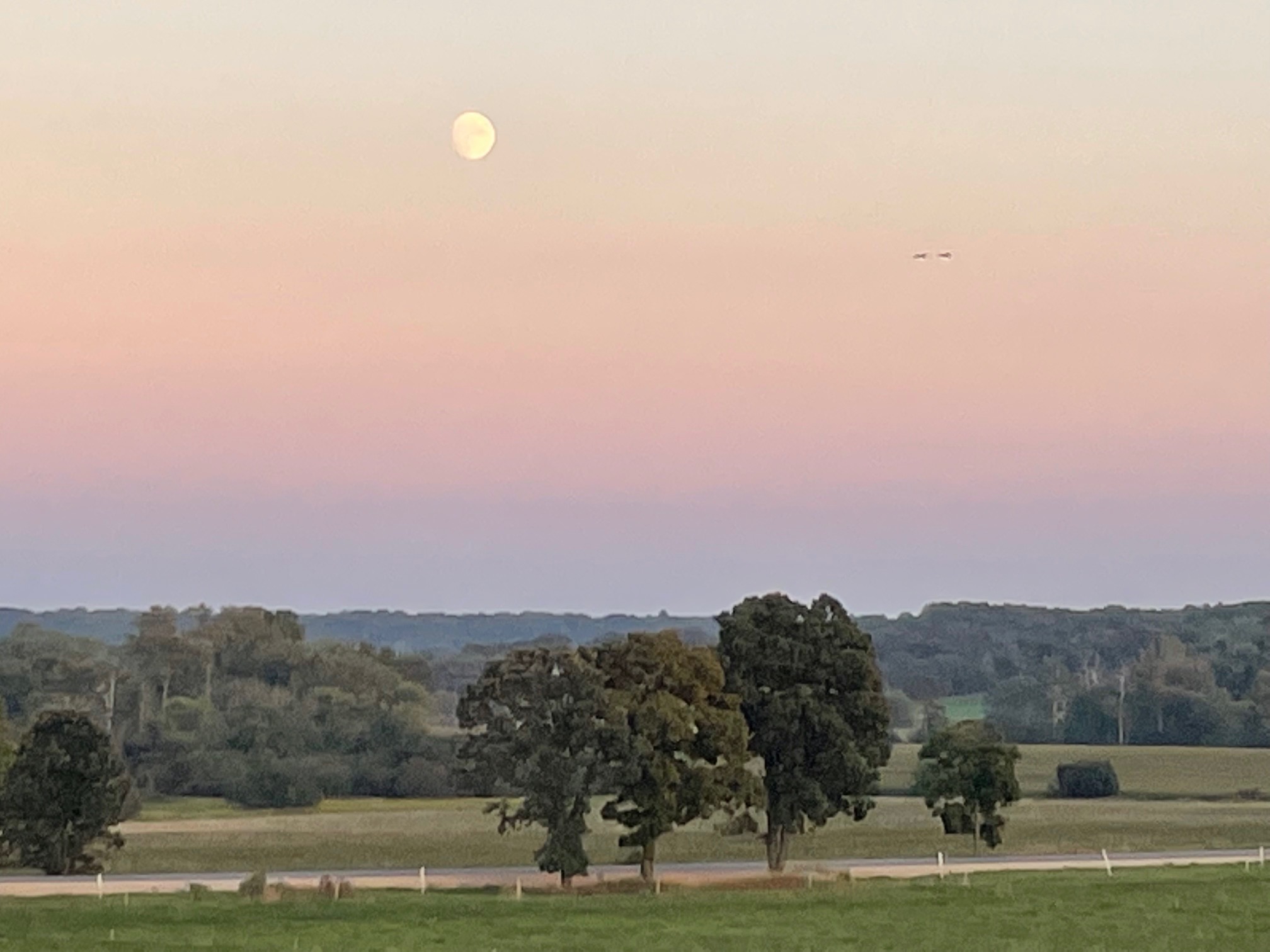 Full Moon Feast - Farm Happenings at Boerson Farm - Harvie