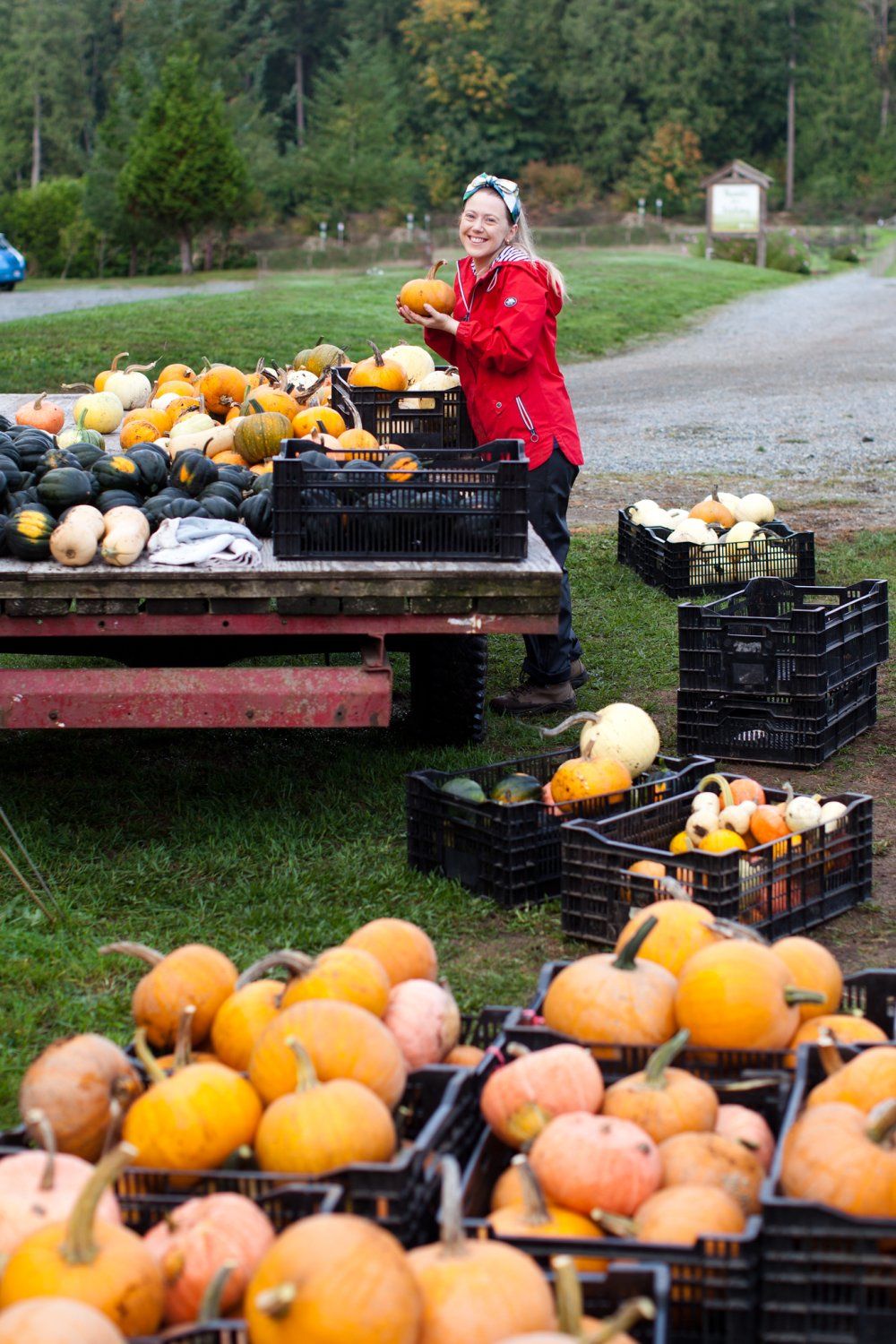 Happy Fall Equinox! - Farm Happenings at A Rocha Farm - Harvie