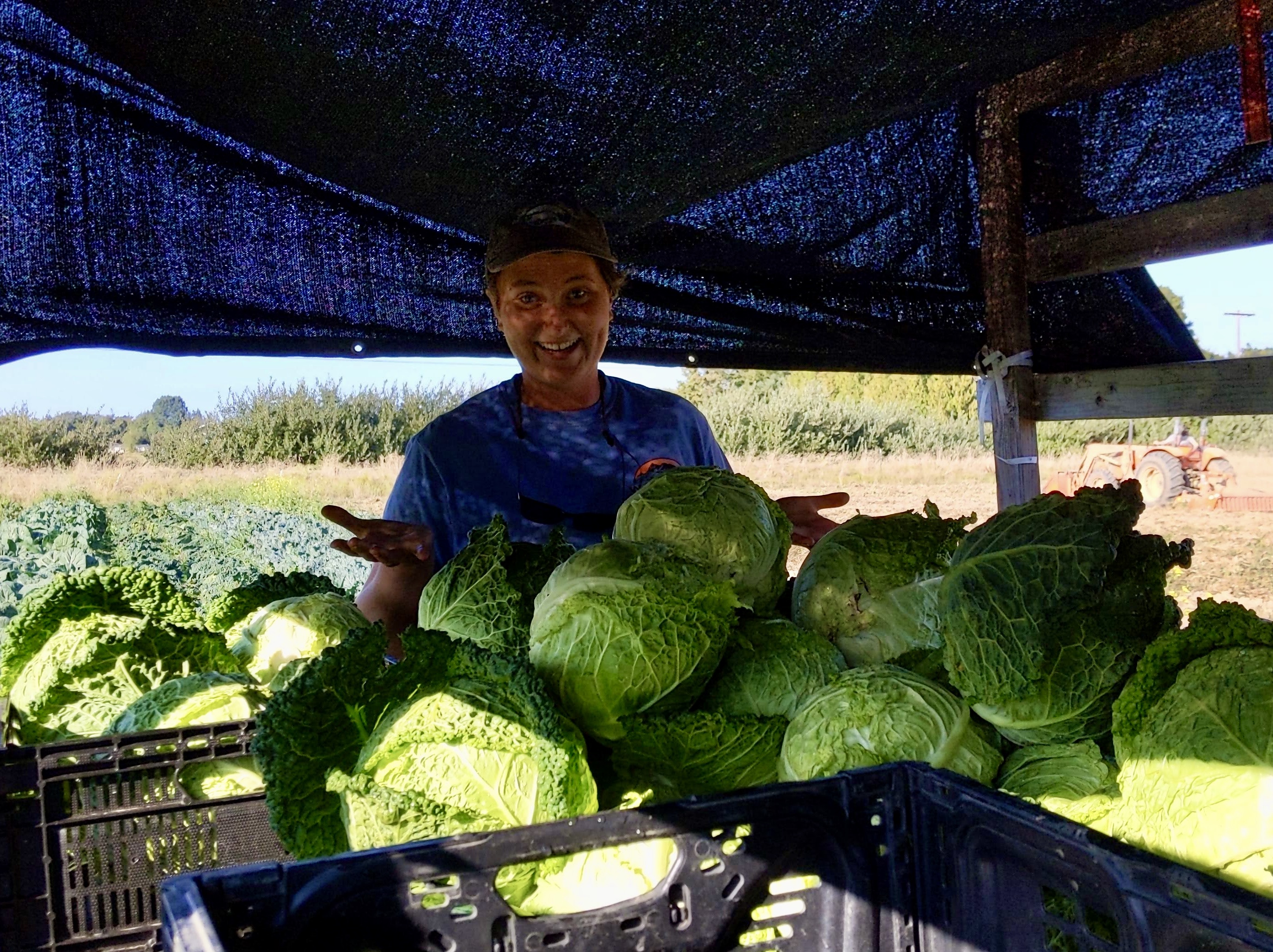 Farm Happening Week 17 - Farm Happenings at River Run Farm - Harvie