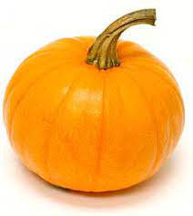 Whats Happening for October 4th & 6th - Farm Happenings at Fallon Food ...