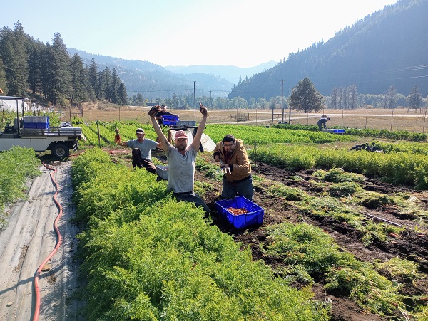 Pop-Up Week #21 - Pick Up - Farm Happenings at Hoot Owl Farm - Harvie