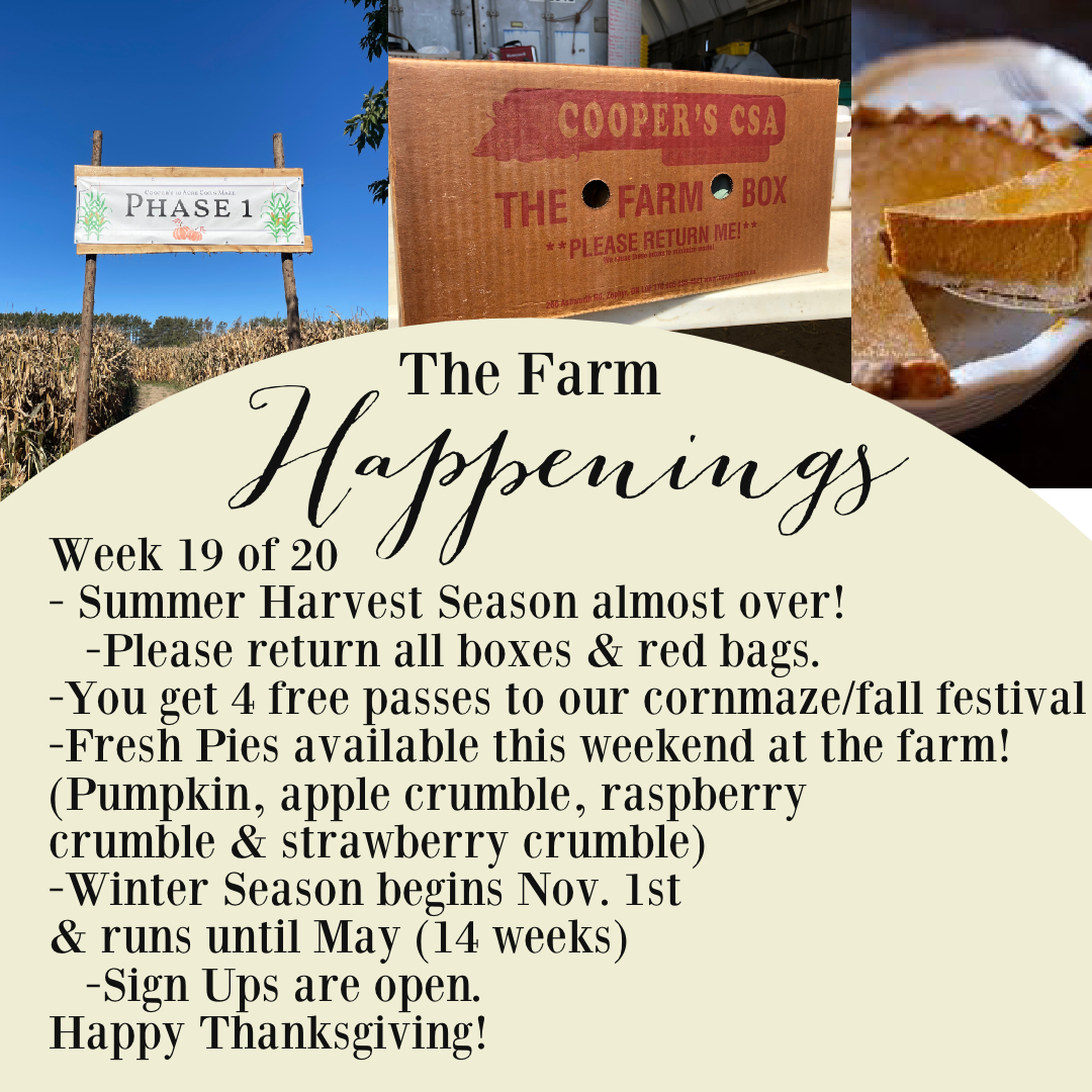 "The Farm Box"-Coopers CSA Farm Farm Happenings Oct. 11-16th Week 19 ...