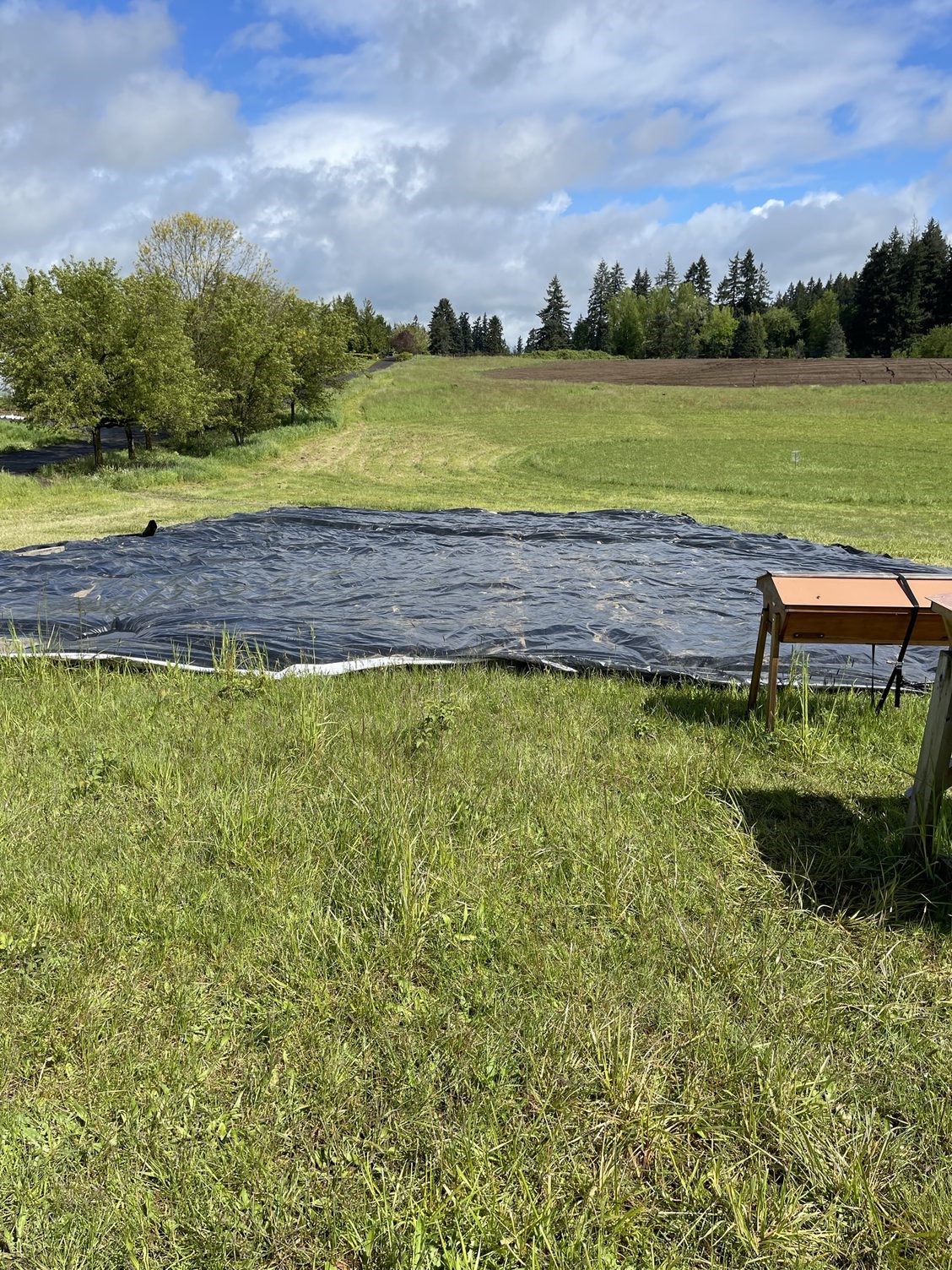 Farm Happenings for October 12, 2022 - Farm Happenings at Flat Tack ...