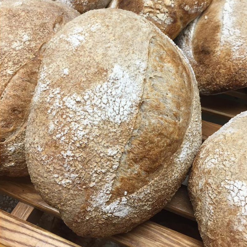 Harvie | CSA / farm shares from Hawkins Family Farm