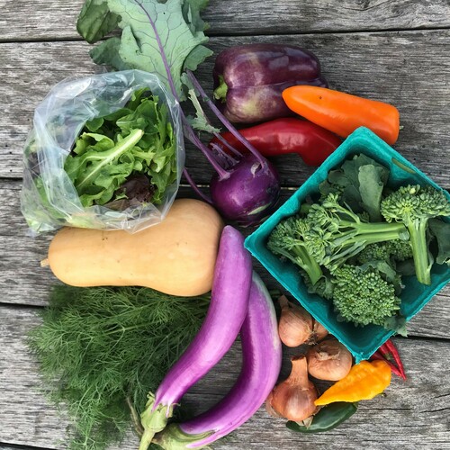 Harvie | CSA / farm shares from Willowsford Farm