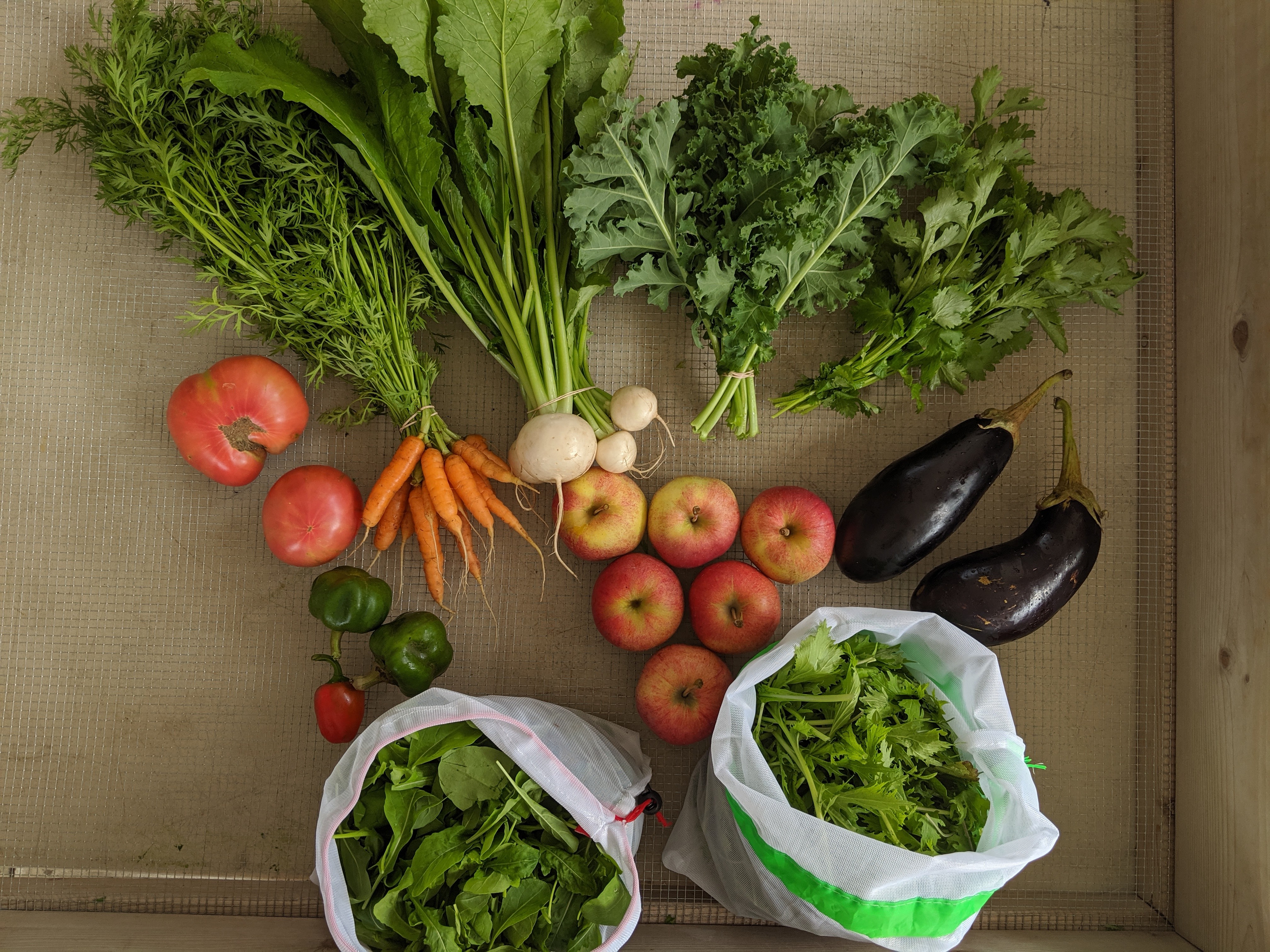 Harvie | CSA / farm shares from Zawadi Farm