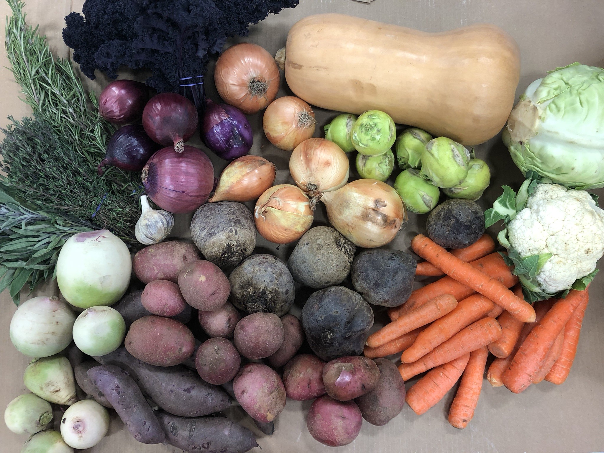 Harvie | CSA / farm shares from Hmong American Farmers Association