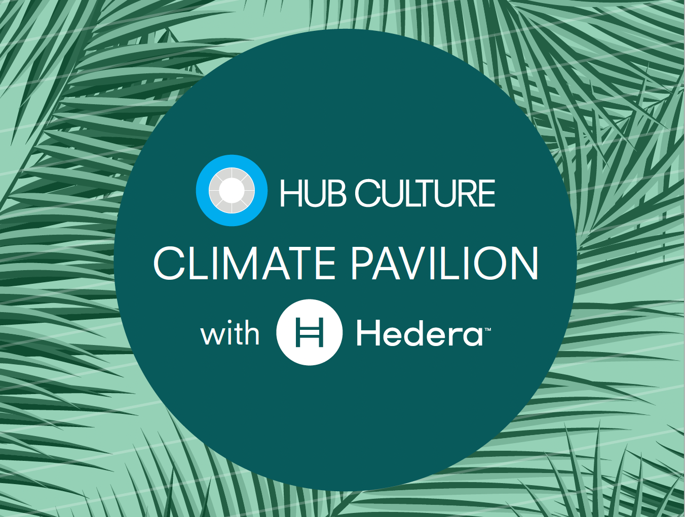 Hub Culture
