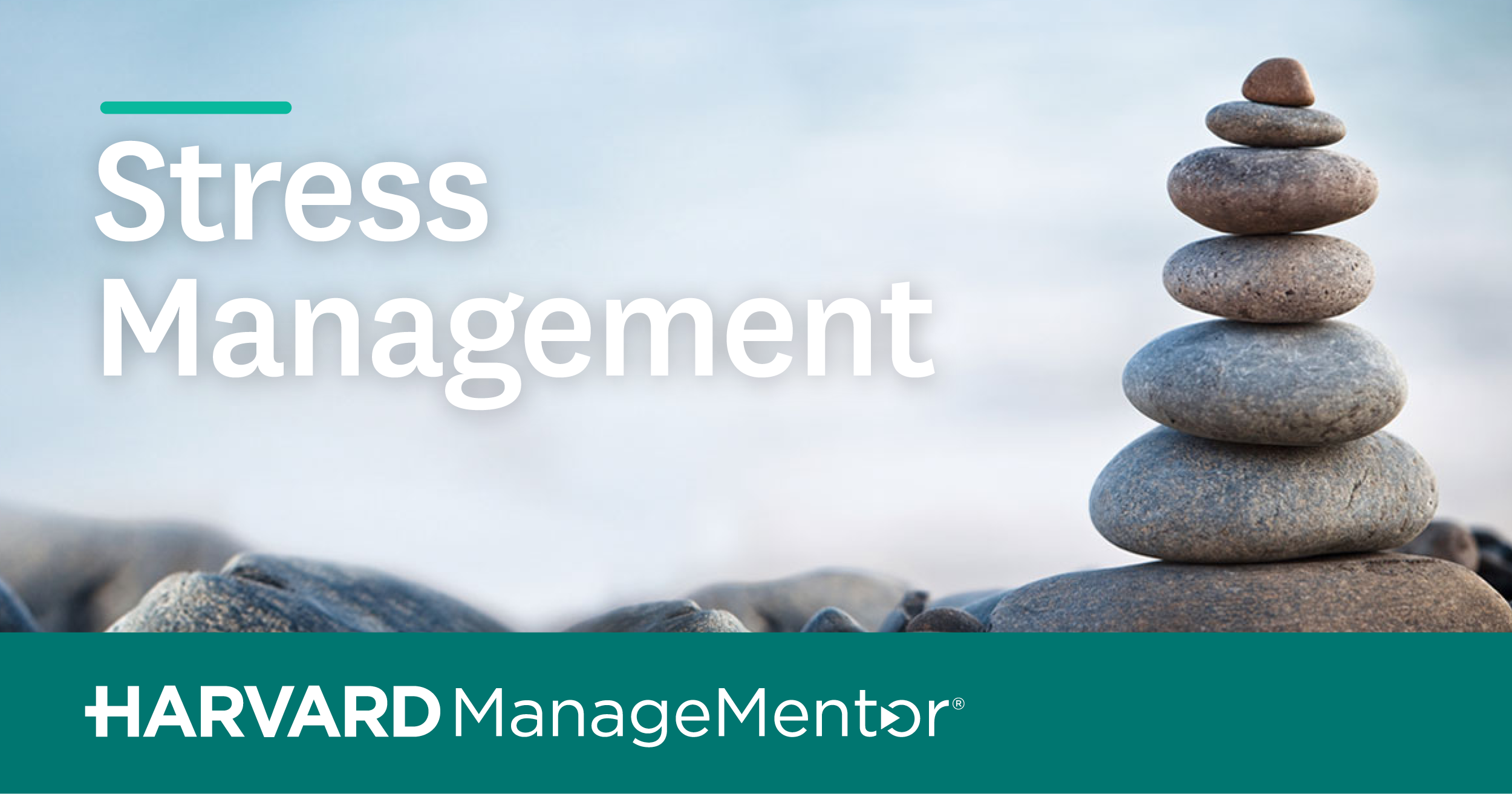 Harvard ManageMentor: Stress Management | Harvard Business Impact Education