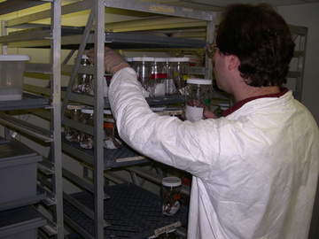 Biological Technicians