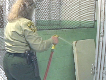 Animal Control Workers