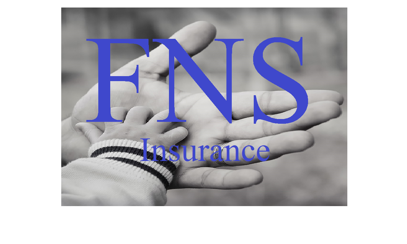FNS Insurance | Fast, Easy ACA Enrollment