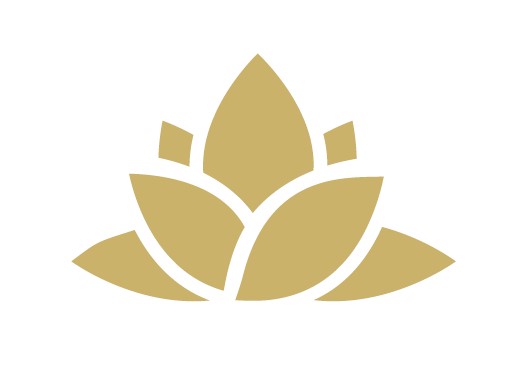 Lotus Insurance Agency | Fast, Easy ACA Enrollment