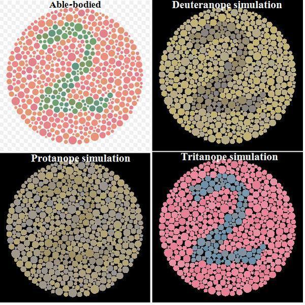 Characteristics English 9 Ward Colorblindness Characteristics English 9 Ward Colorblindness