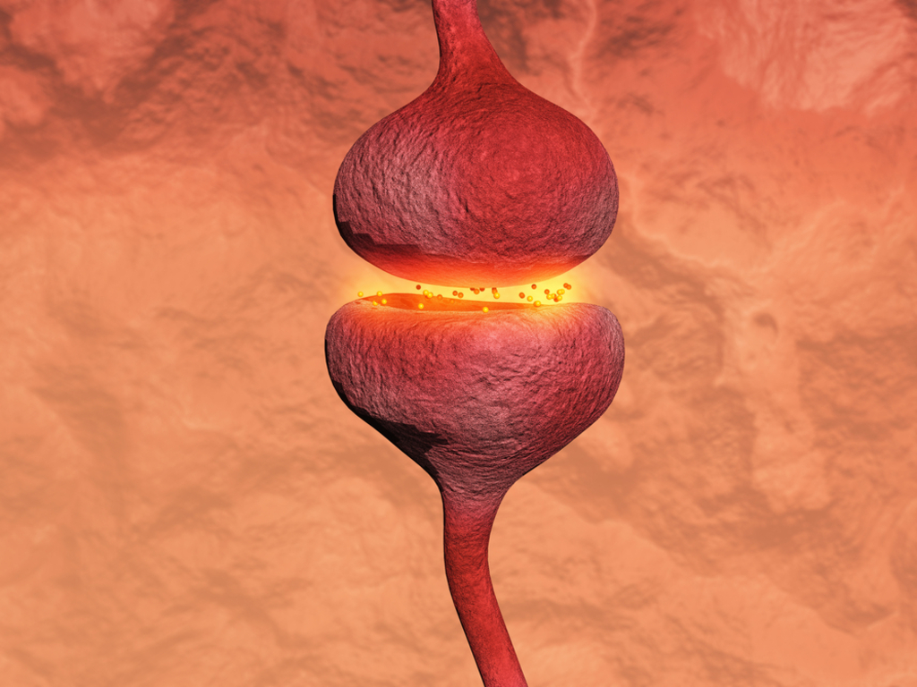 Acetylcholine - Things You Didn't Know