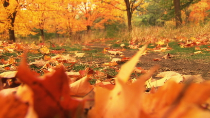 TFO – vidéos pour enfants, chansons et jeux, films et séries