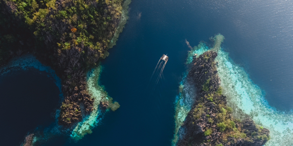 Taylor Fischer Ambassador Profile