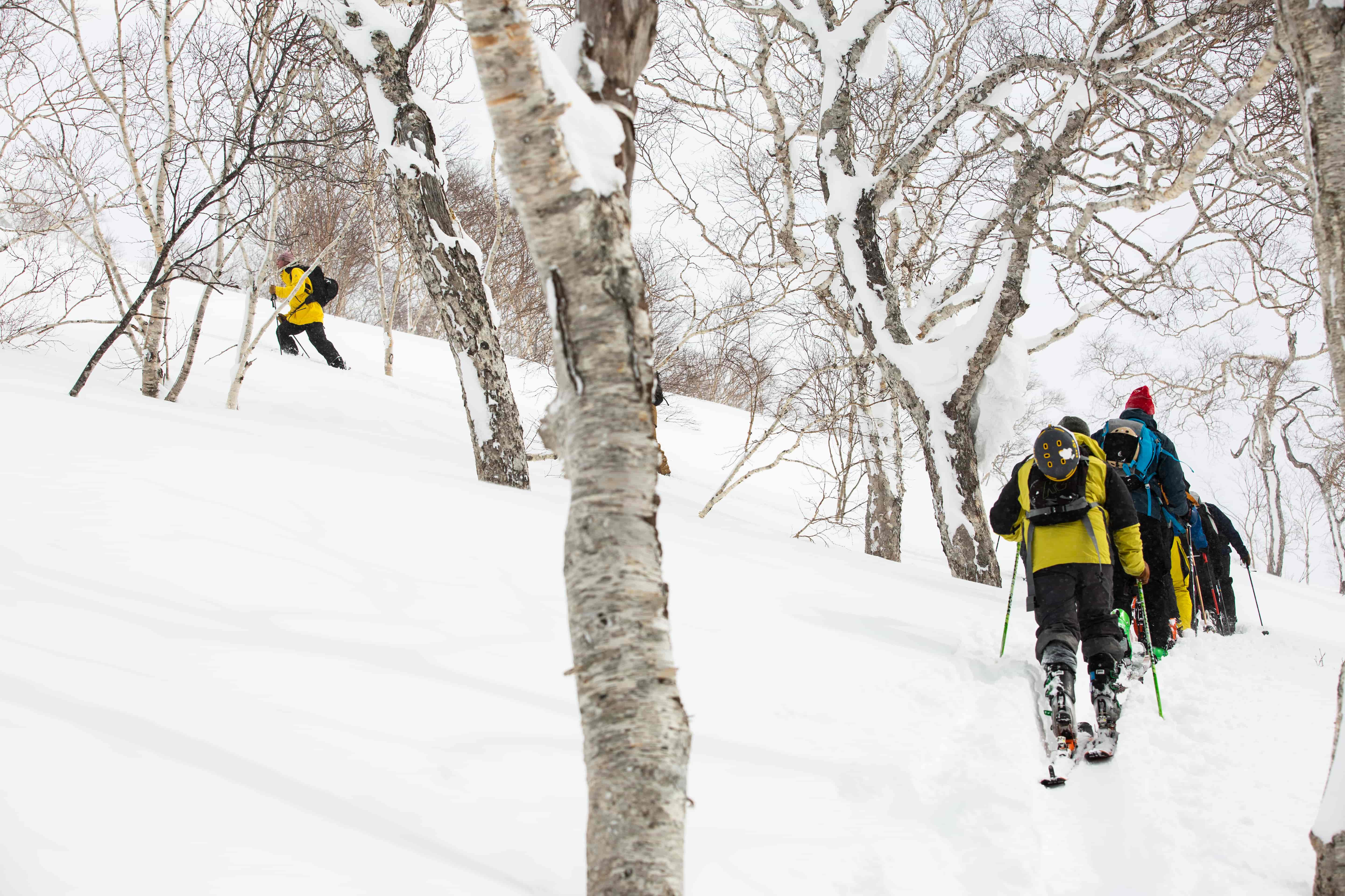 The World's Best Ski Touring Destinations